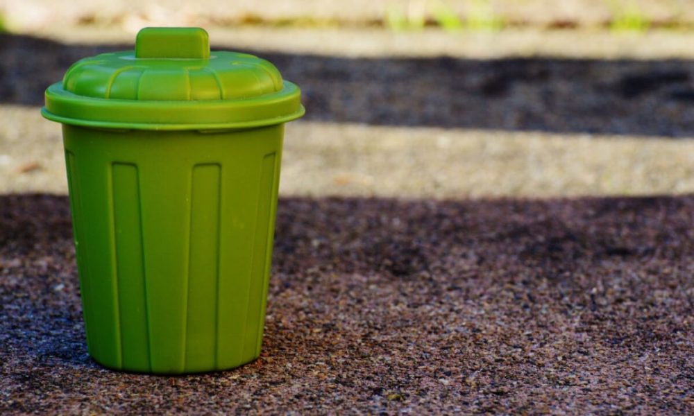 El Manejo De Los Desechos Sólidos: Una Prioridad Pendiente Para ...