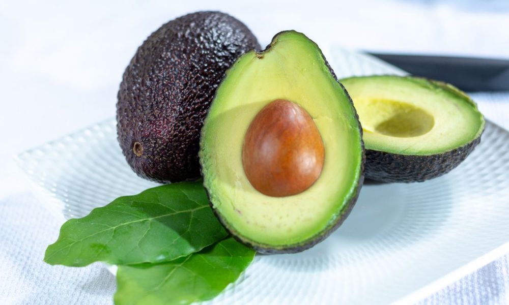 Guatemala Apuesta Por Variedades De Aguacate Hass Y Booth 8 Para ...