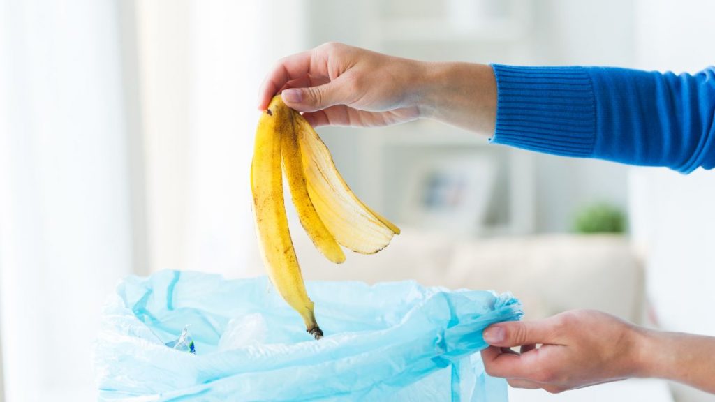 En Vigencia Clasificación Primaria Para La Gestión Integral De Residuos Y Desechos Sólidos