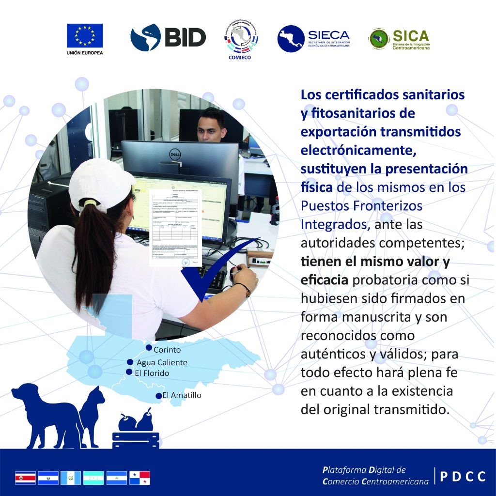 Habilitan Transmisión Electrónica Para Certificados Sanitarios Y Fitosanitarios De Exportación ...