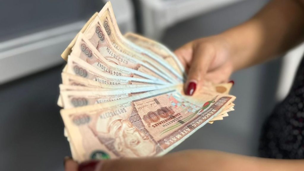 4 Pasos En Línea Para Calcular El Bono 14